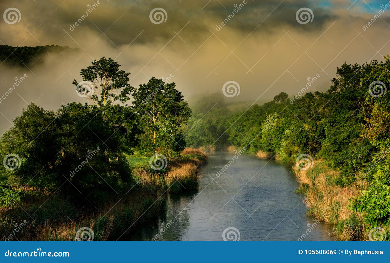 Streams and Trees at Sunset Stock Image - Image of beautiful, nature ...