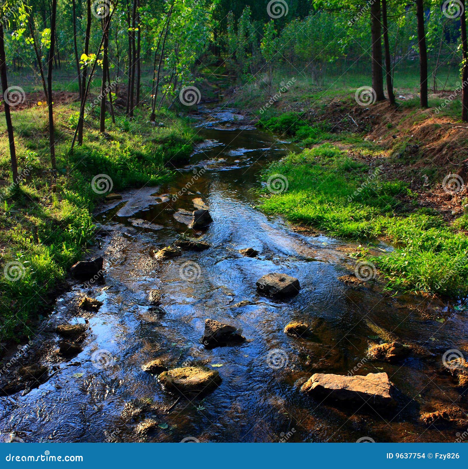 The Streams Under the Setting Sun Streams Stock Photo - Image of ...