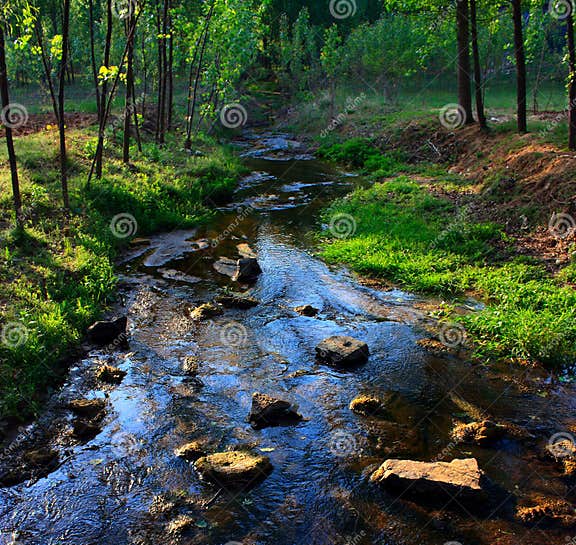 The Streams Under the Setting Sun Streams Stock Photo - Image of ...