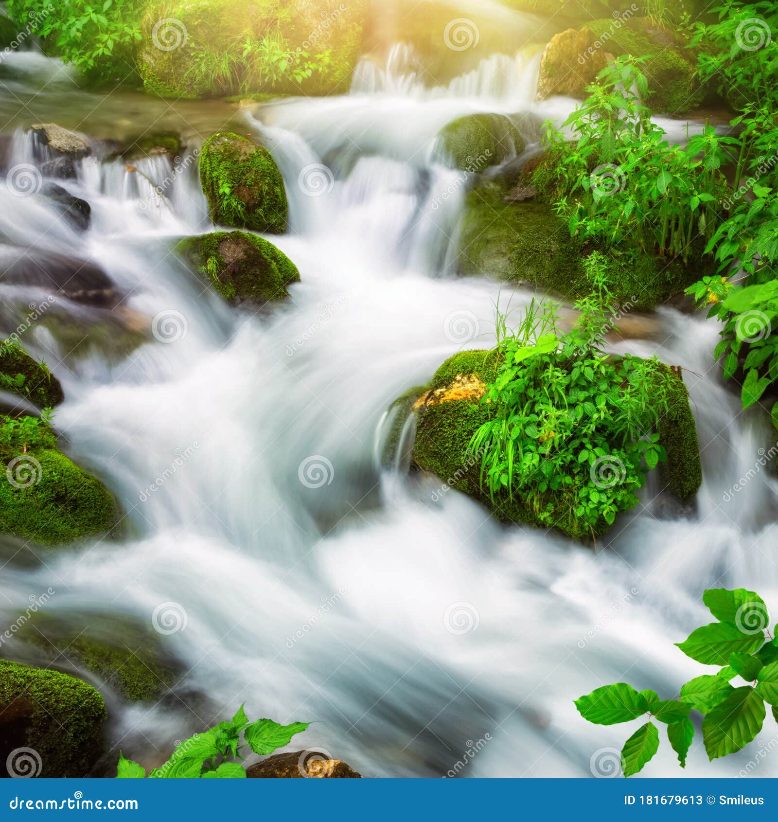 Water Beautifully Cascading Down a River Stock Image - Image of clean ...