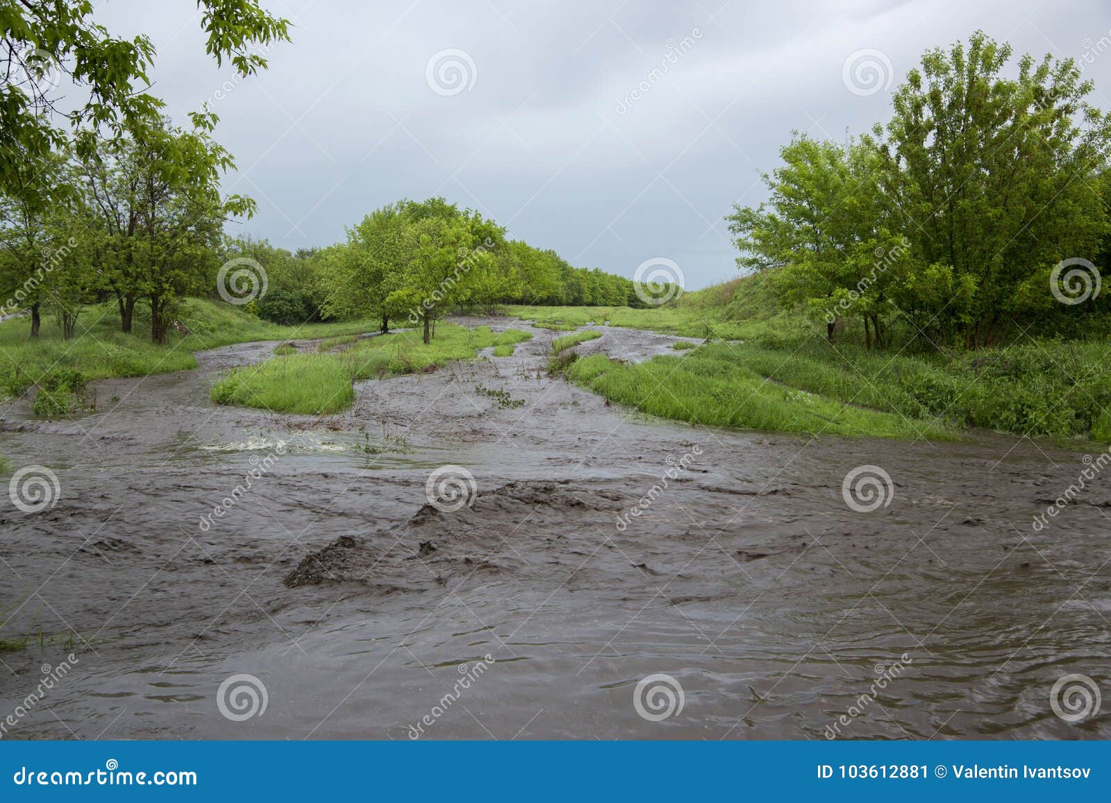 Streams of Water Flow after a Heavy Rainfall. Stock Image - Image of ...