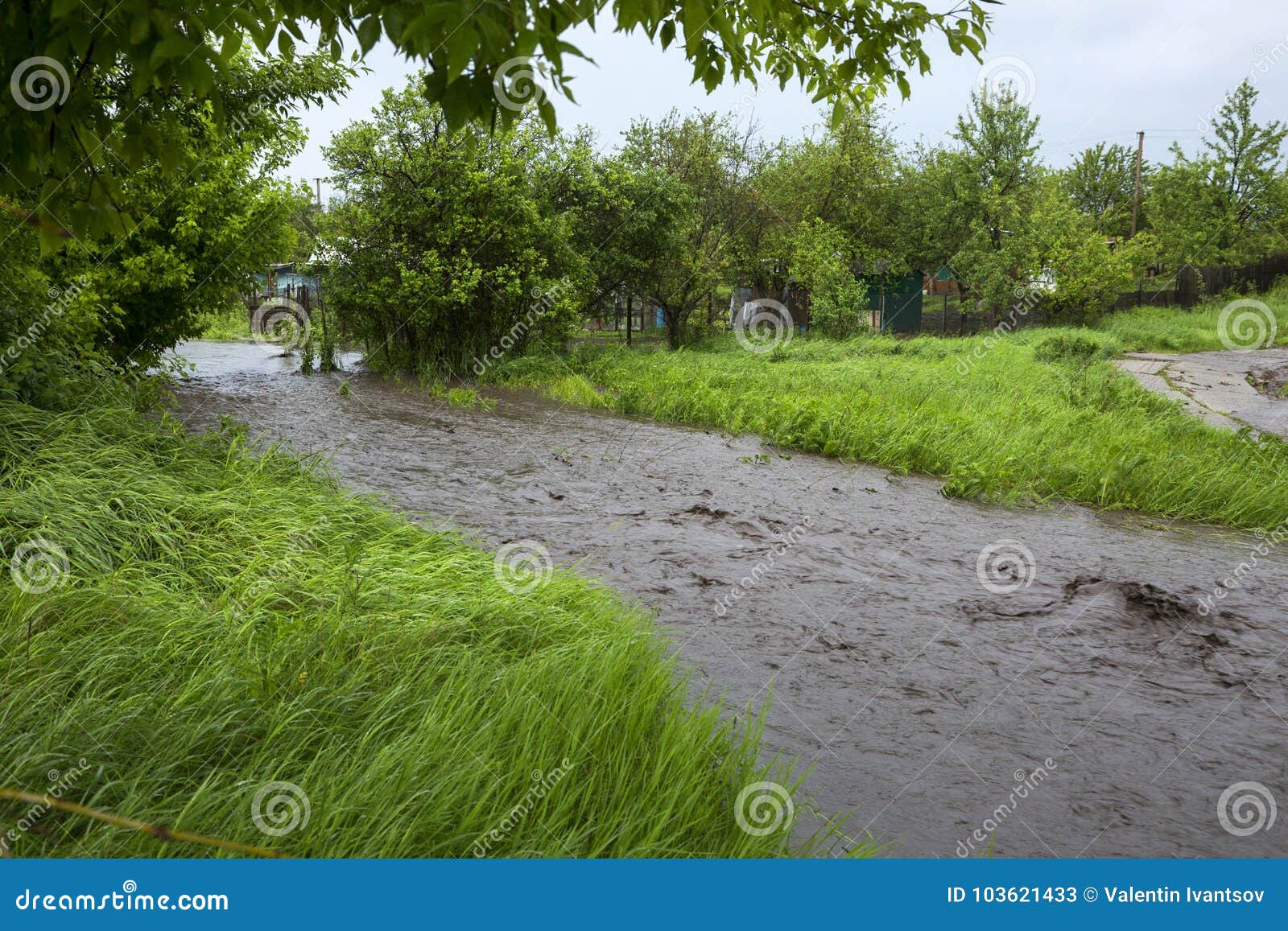 Streams of Water Flow after a Heavy Rainfall. Stock Image - Image of ...