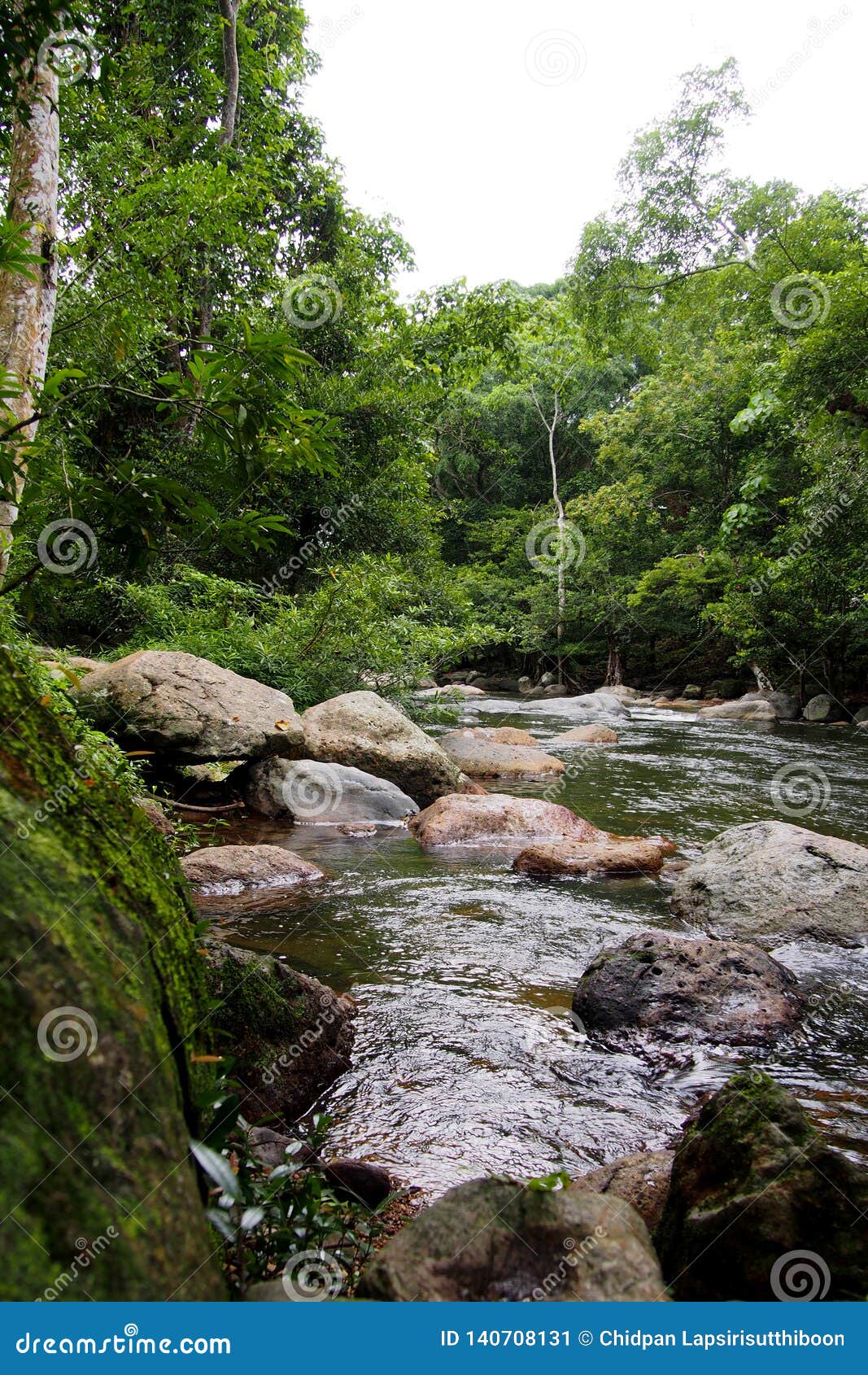 Streams of Water Flow and Rocks in the Forest,Waterfall Stock Image ...