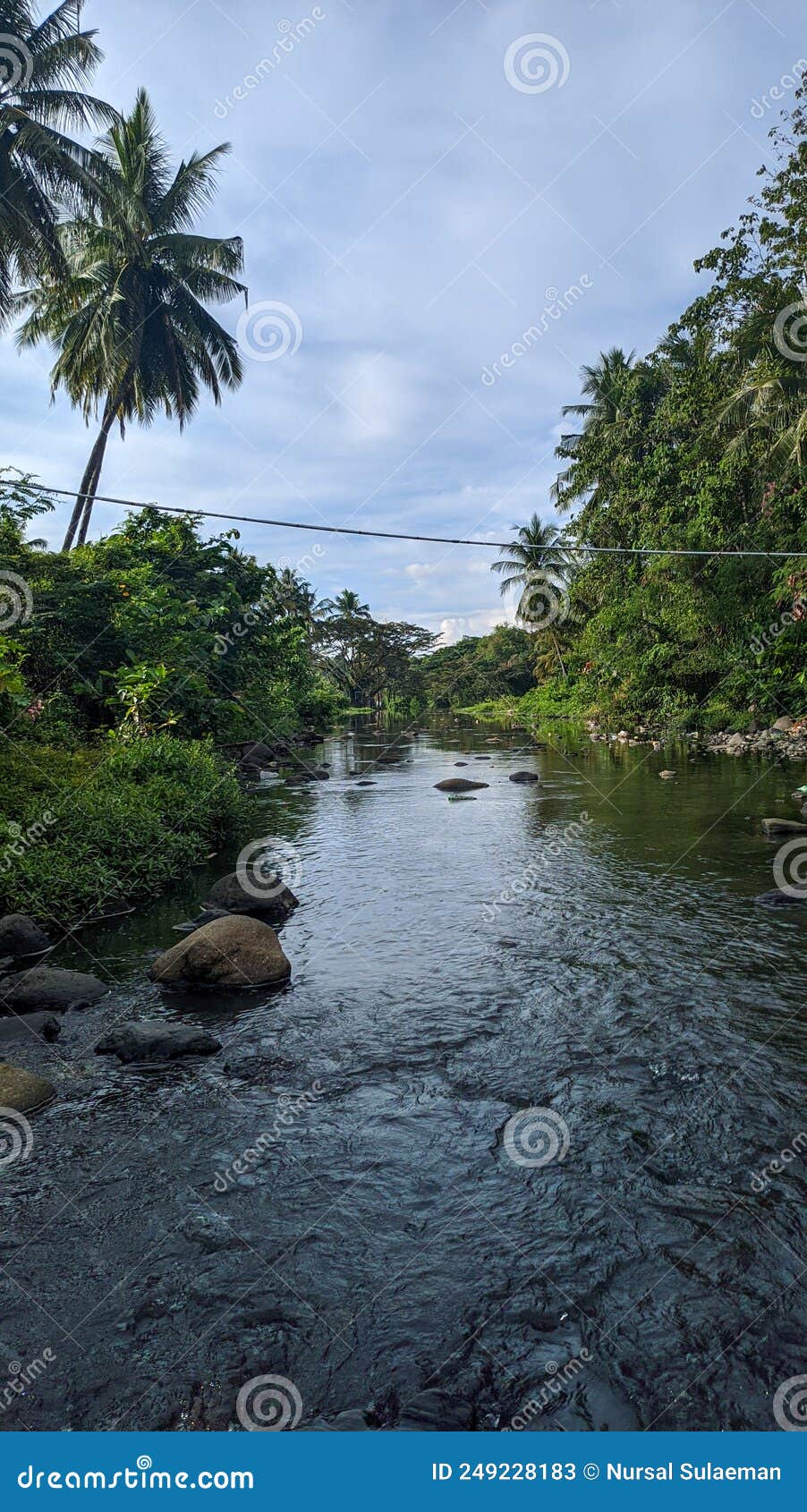 Streams of Water, Rocks, and Trees Stock Image - Image of rocks, tree ...