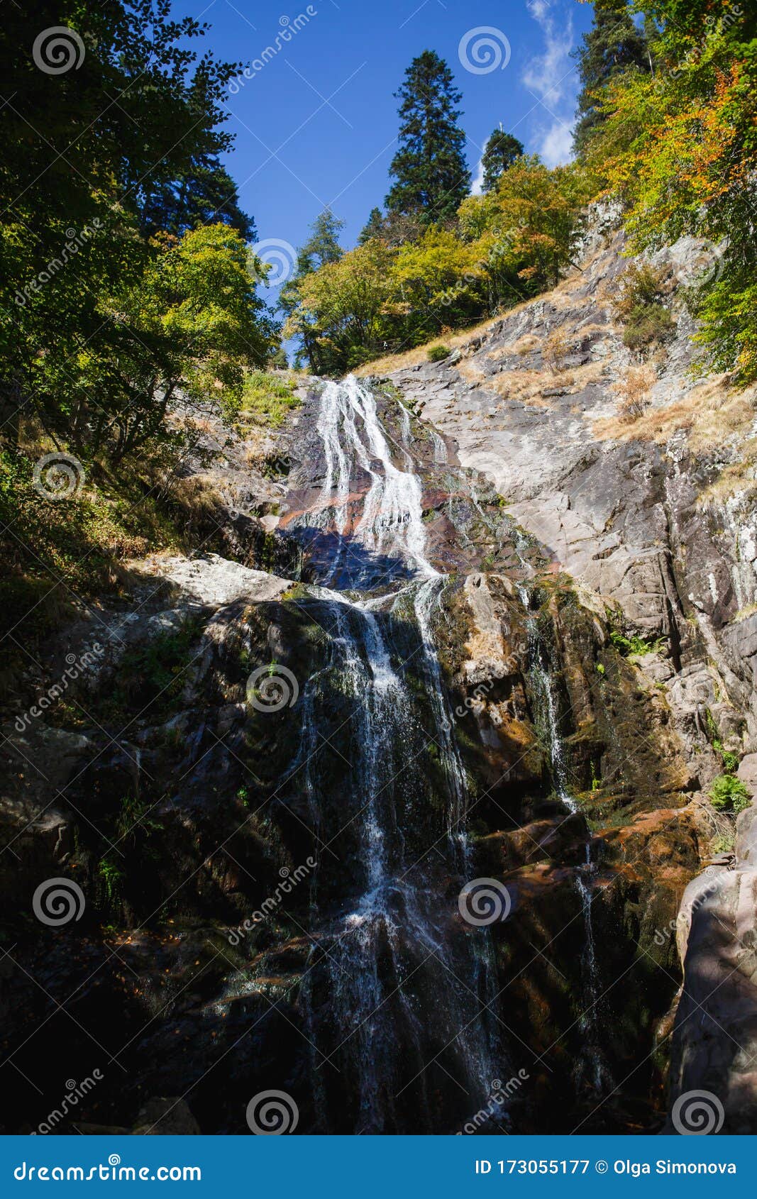 Streams of the Waterfall Fall from the Rock among the Greenery. Stock ...