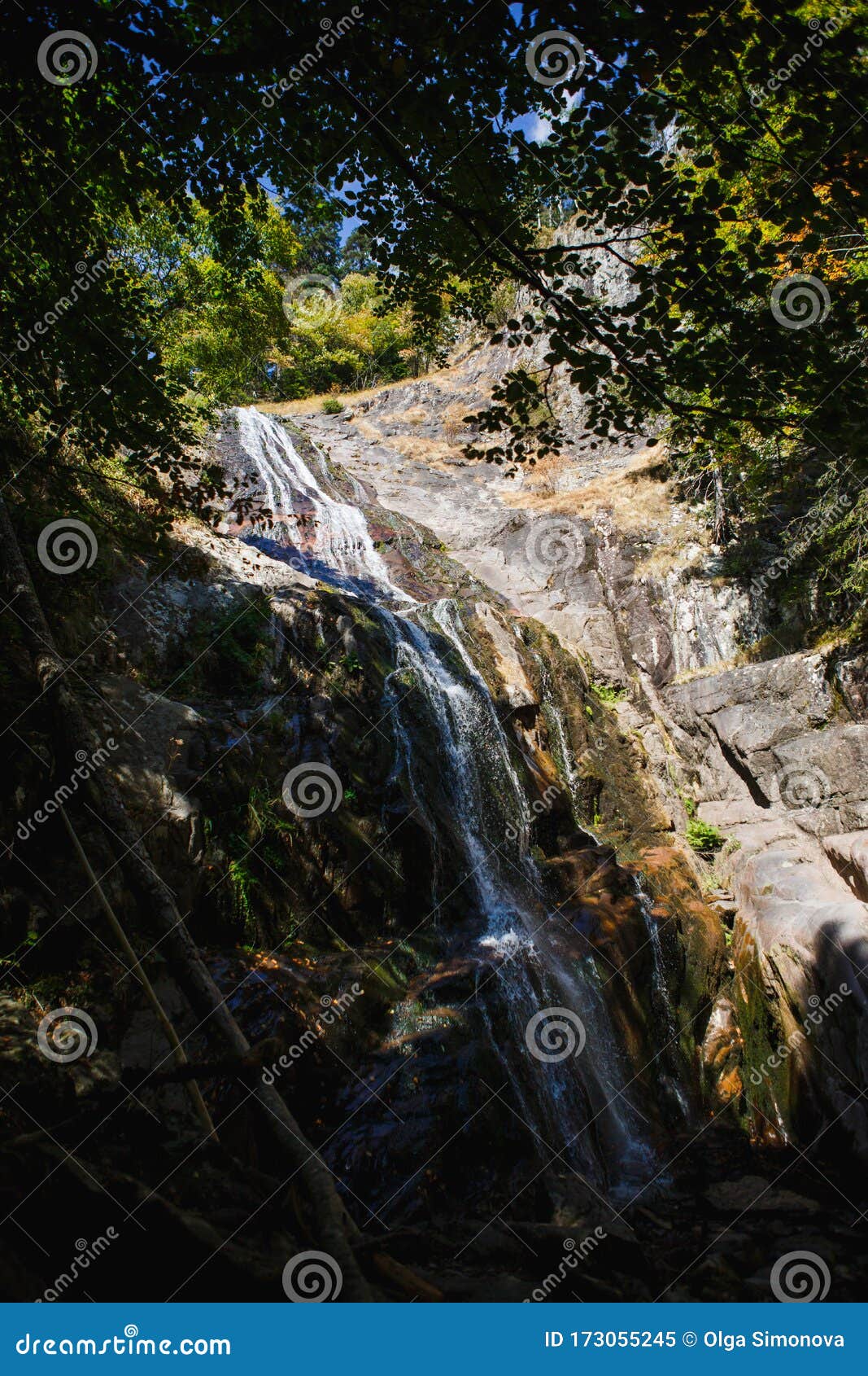 Streams of the Waterfall Fall from the Rock among the Greenery. Stock ...