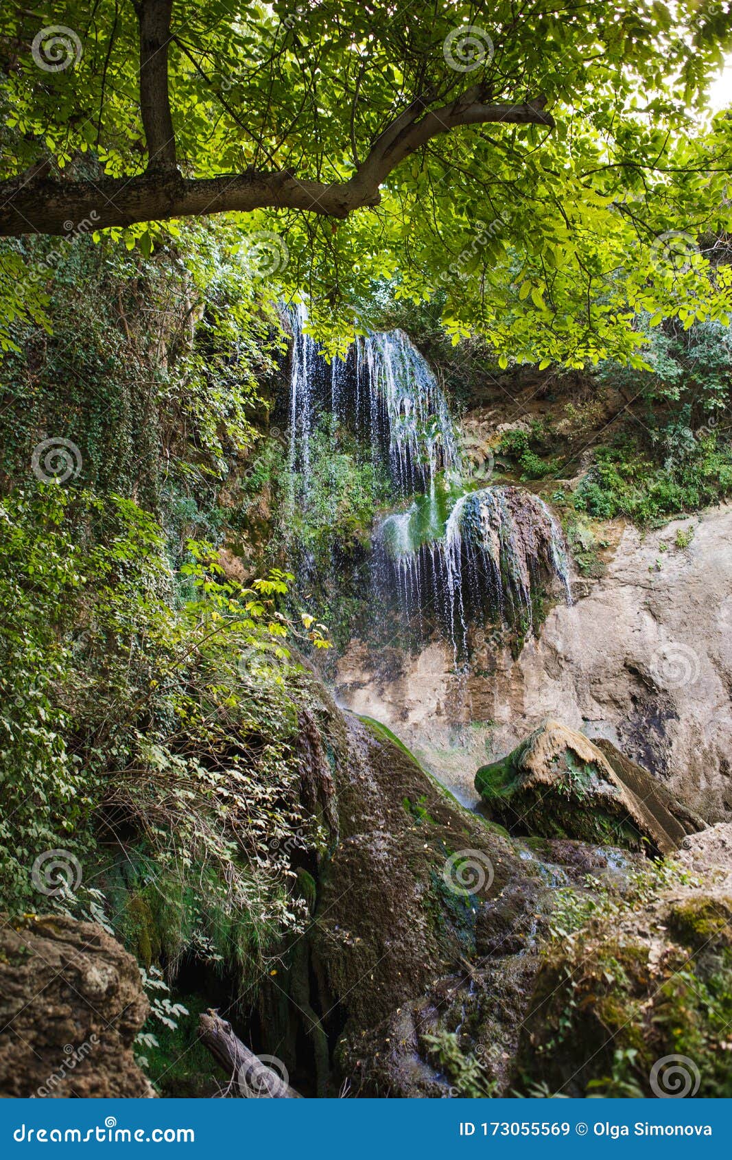 Streams of the Waterfall Fall from the Rock among the Greenery. Stock ...