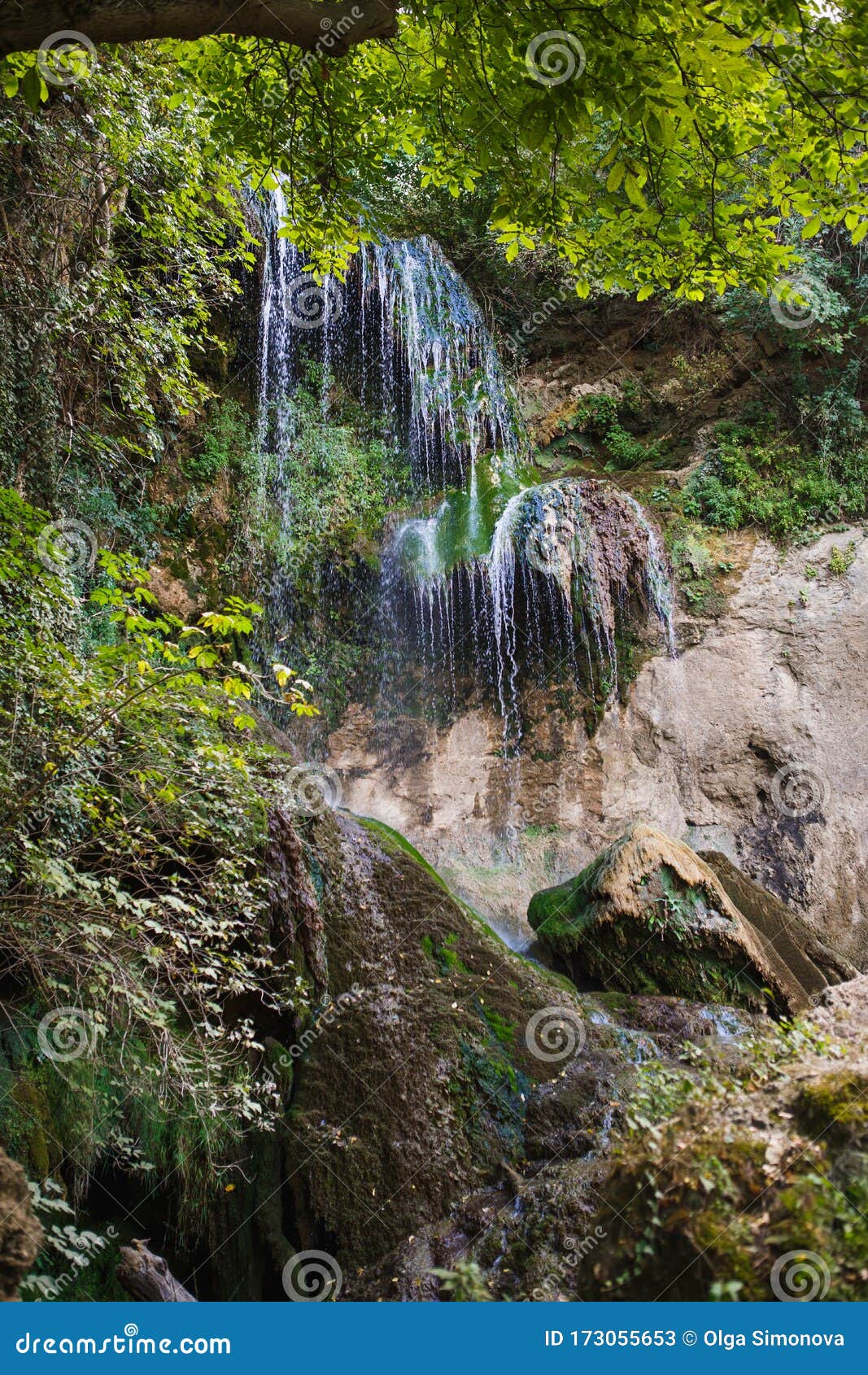 Streams of the Waterfall Fall from the Rock among the Greenery. Stock ...