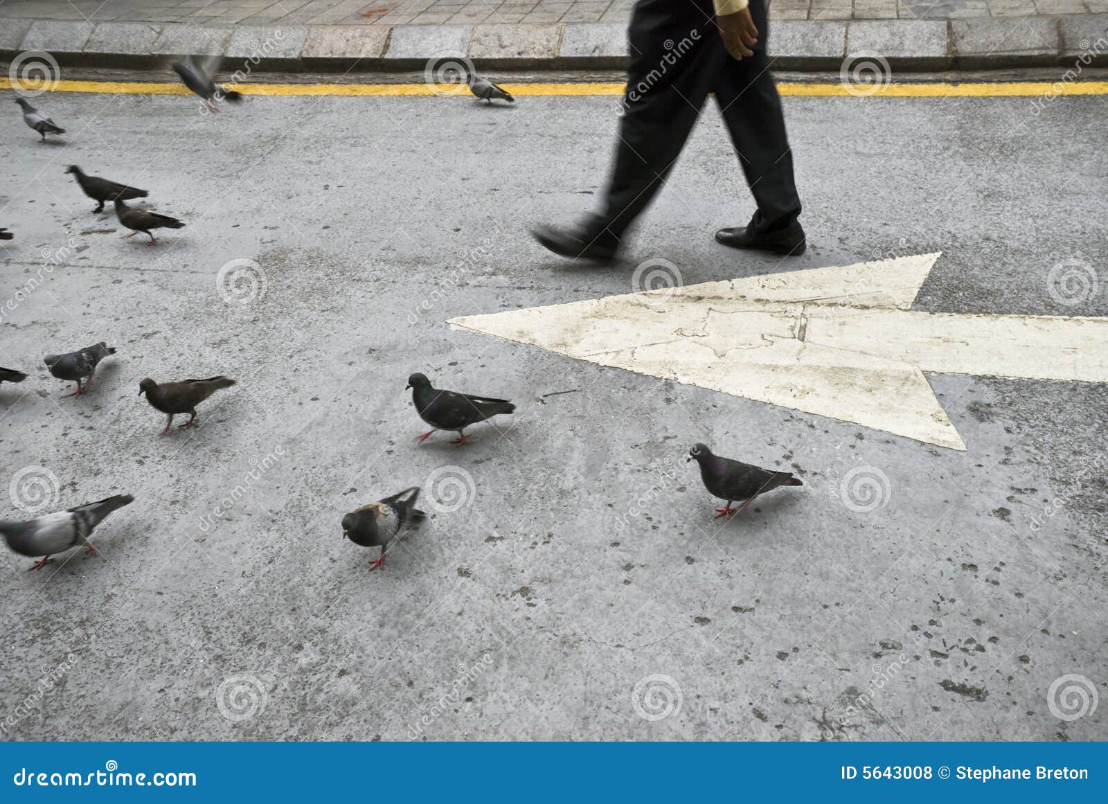 752 Arrow Passage Stock Photos - Free & Royalty-Free Stock Photos from ...