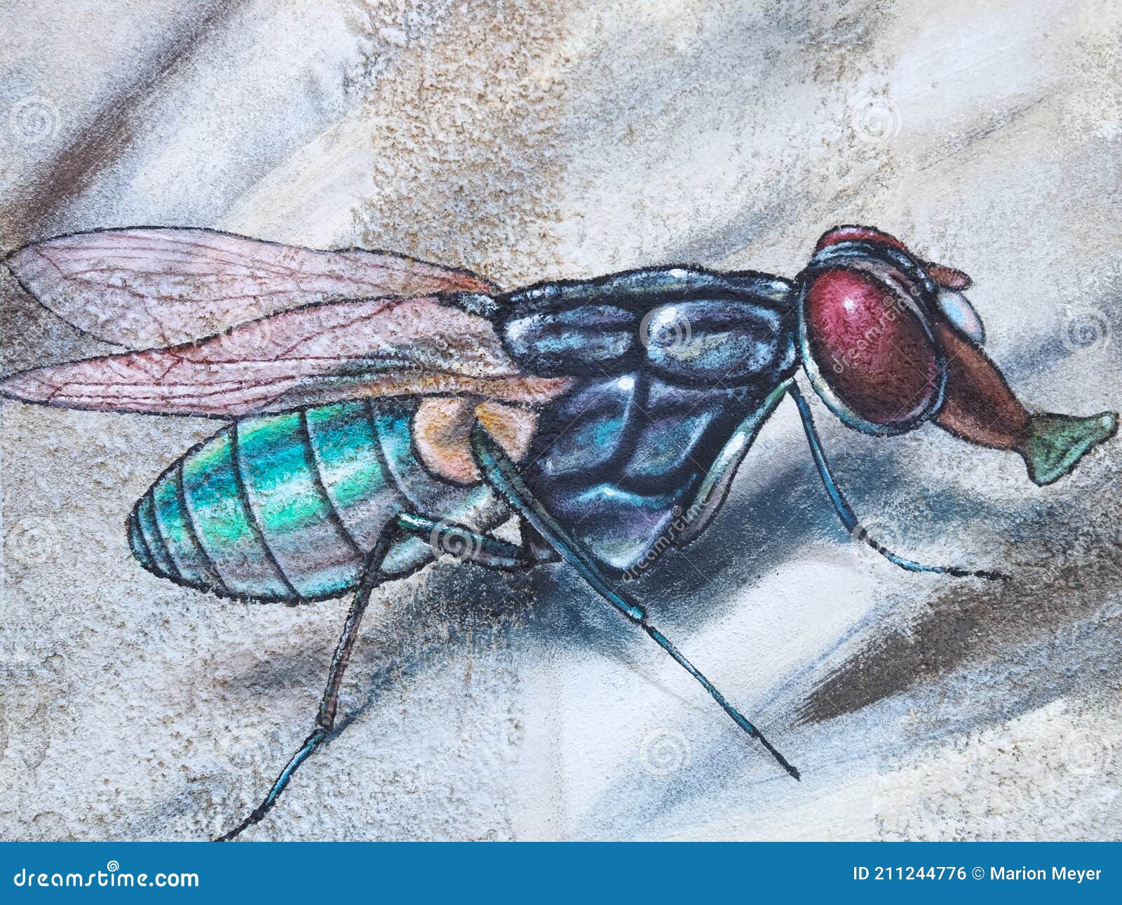 Street Art In Duesseldorf - Graffiti Of An Insect Or Stag Beetle ...