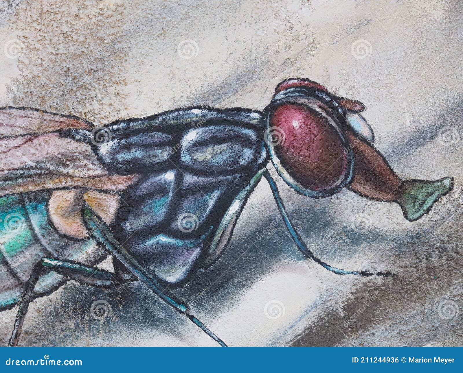 Street Art In Duesseldorf - Graffiti Of An Insect Or Stag Beetle ...