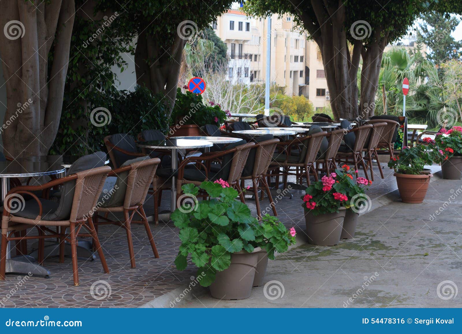 Street Cafe in the Shade of Trees Stock Photo - Image of food, bistro ...