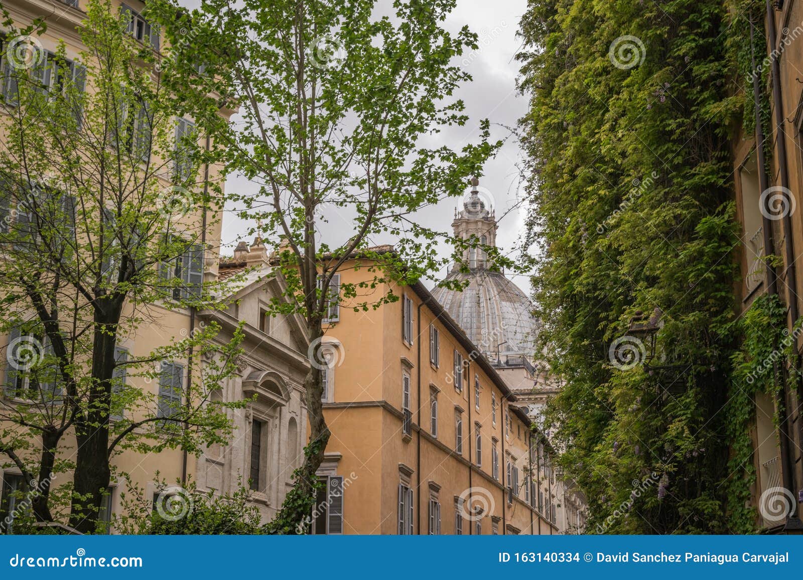 Street in the City of Rome with Trees and Dome Stock Photo - Image of ...