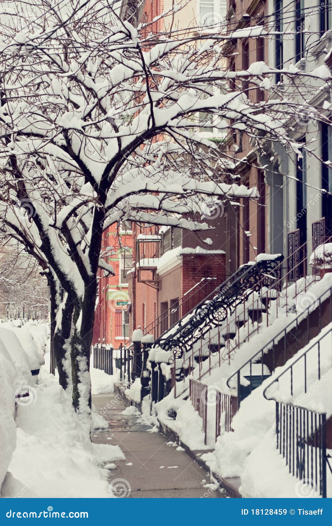 A street covered with snow stock image. Image of tree - 18128459