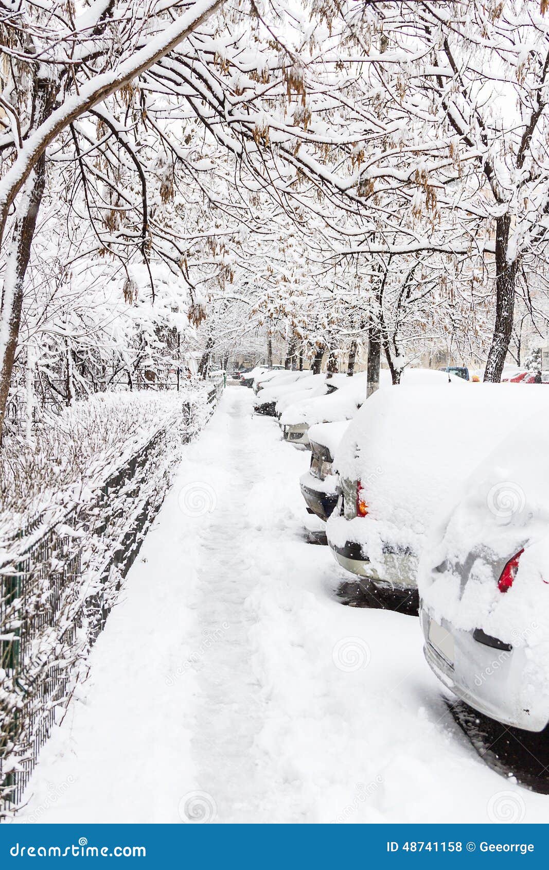 Street covered with snow stock photo. Image of covered - 48741158