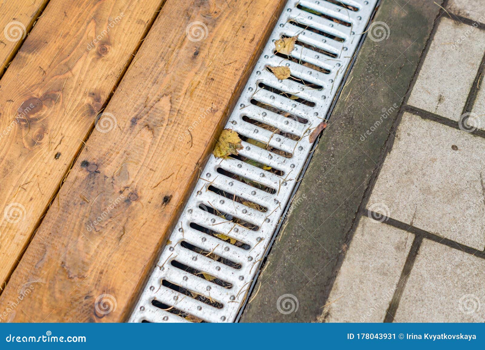 Street Drain in Autumn Park Stock Image - Image of metal, cover: 178043931