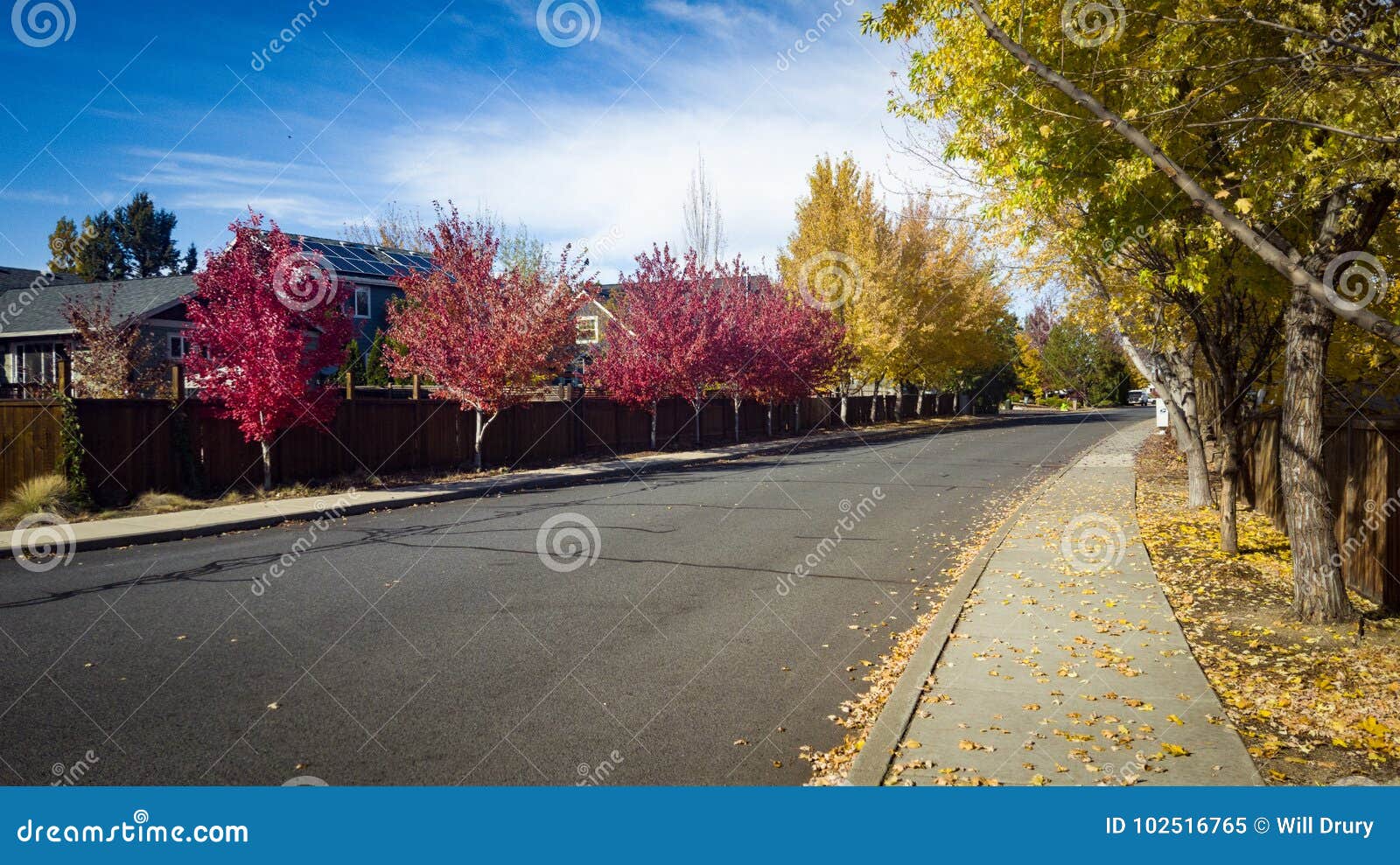 Street in Fall colors stock image. Image of fall, colors - 102516765