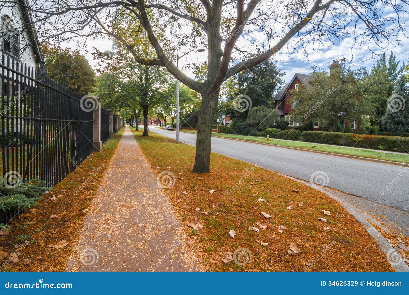 Street Fall scene stock image. Image of calming, ablaze - 34626329
