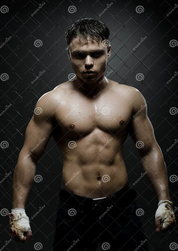 Street fighter stock image. Image of boxing, intrepid - 23123965
