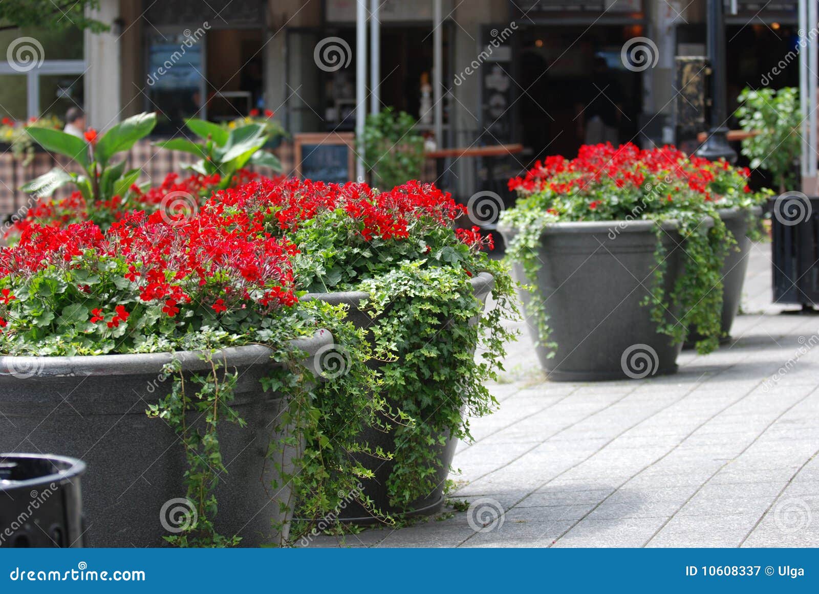 Street with flower pots stock image. Image of petal, plant - 10608337