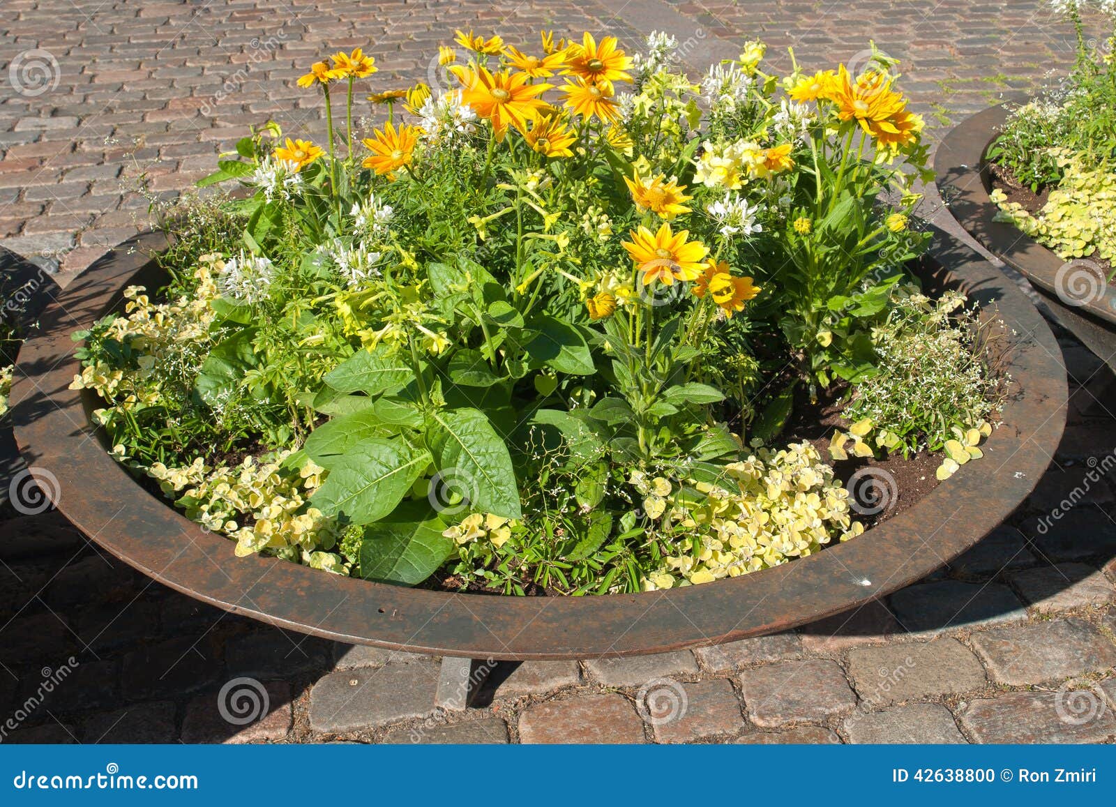 Street with flower pots stock photo. Image of denmark - 42638800