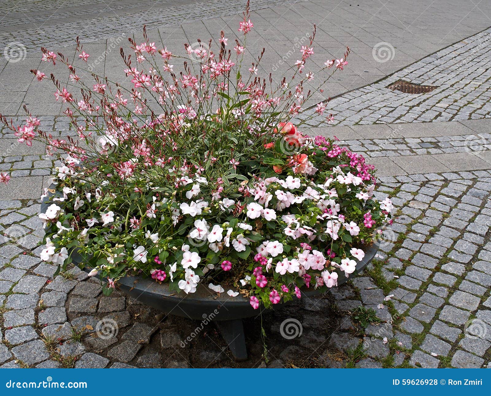 Street with flower pots stock photo. Image of green, flora - 59626928