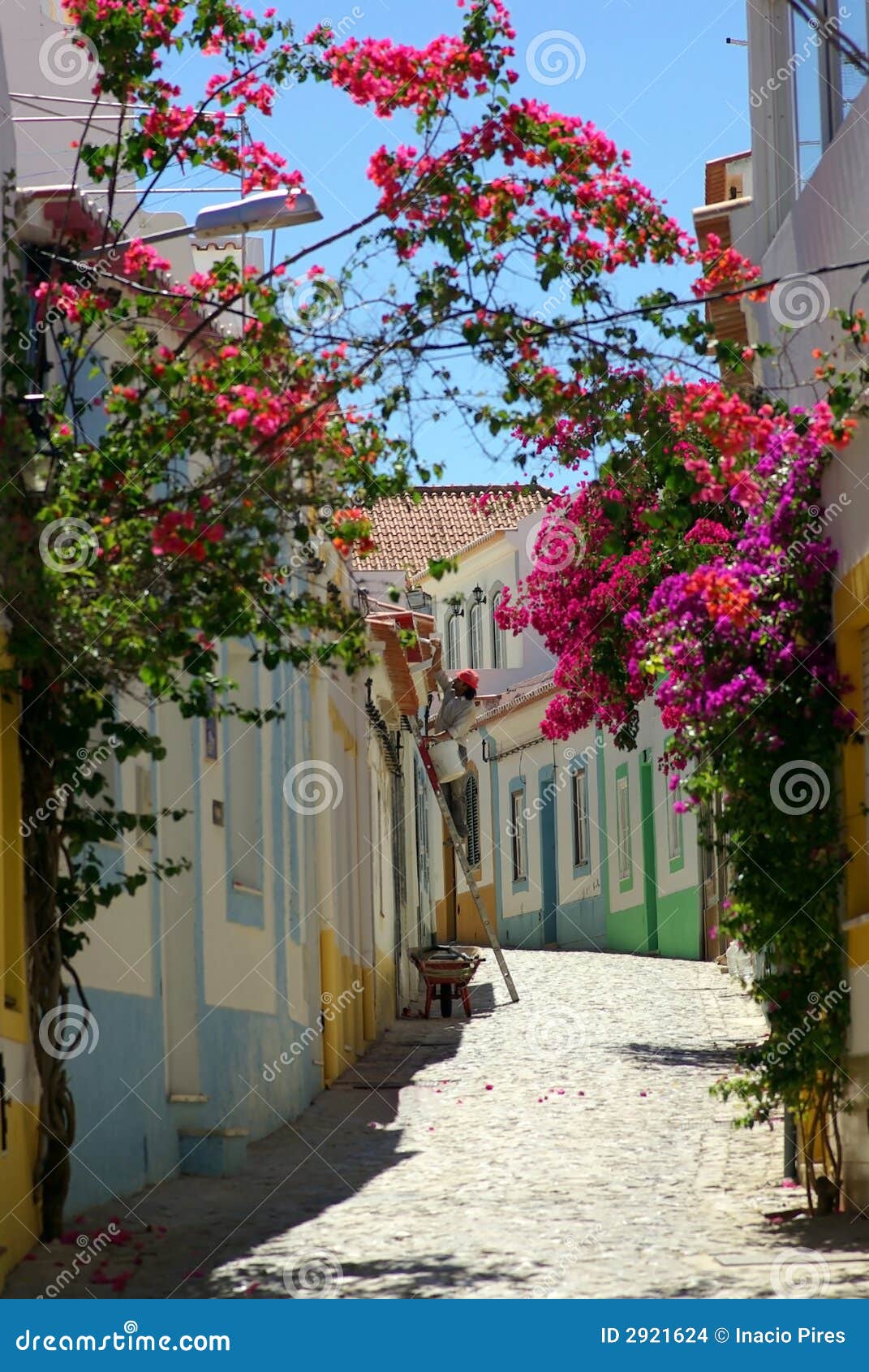 Street with Flowers stock photo. Image of algarve, side - 2921624
