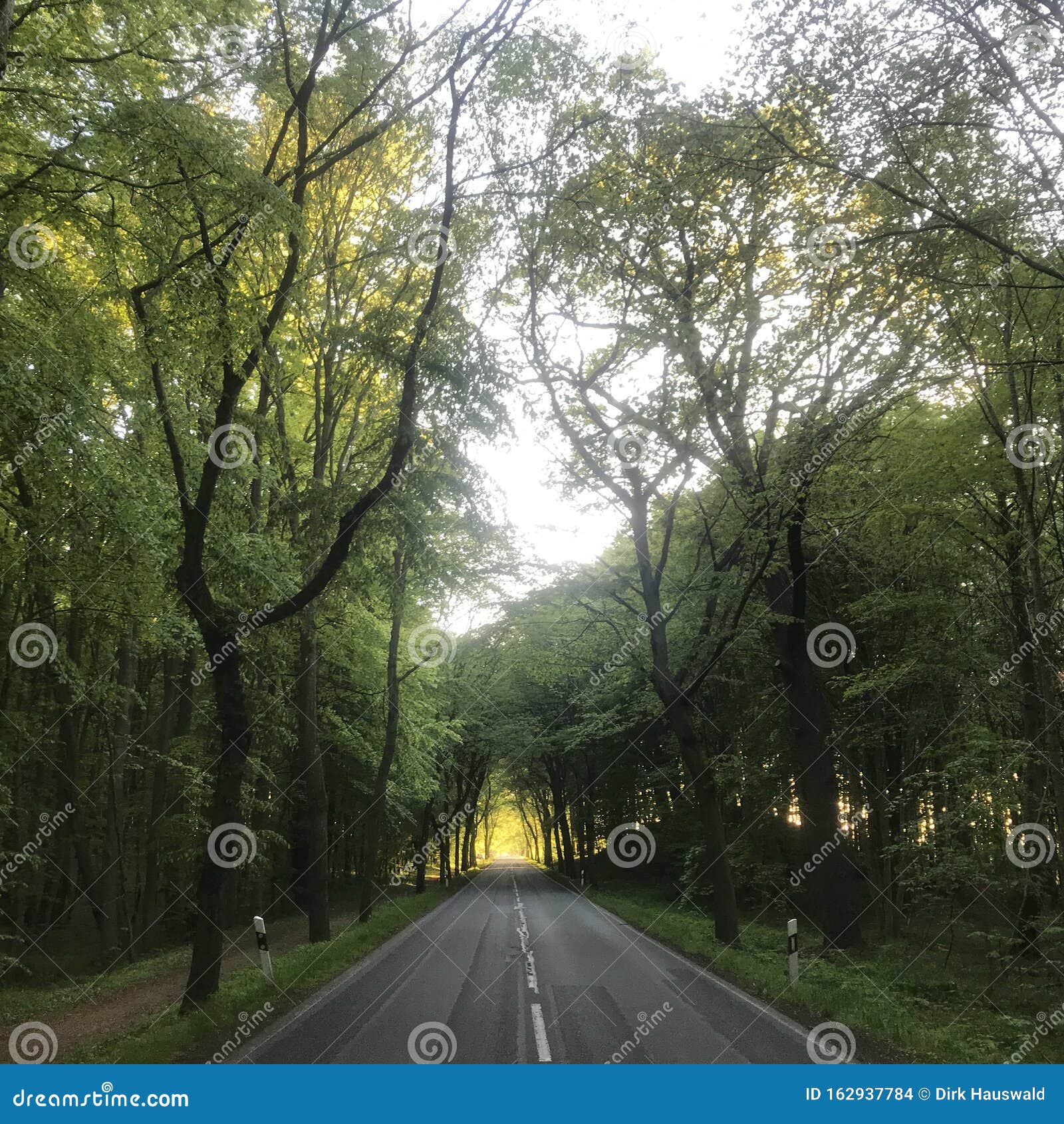 The street forward stock photo. Image of street, straight - 162937784