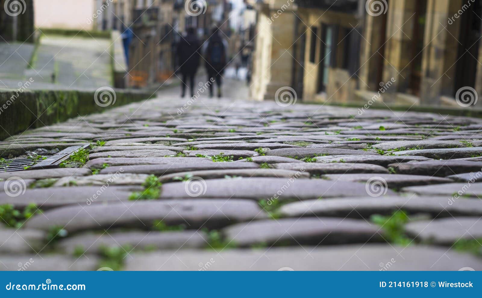 Street Ground with Rectangular Stones and Grass Grown in-between Stock ...