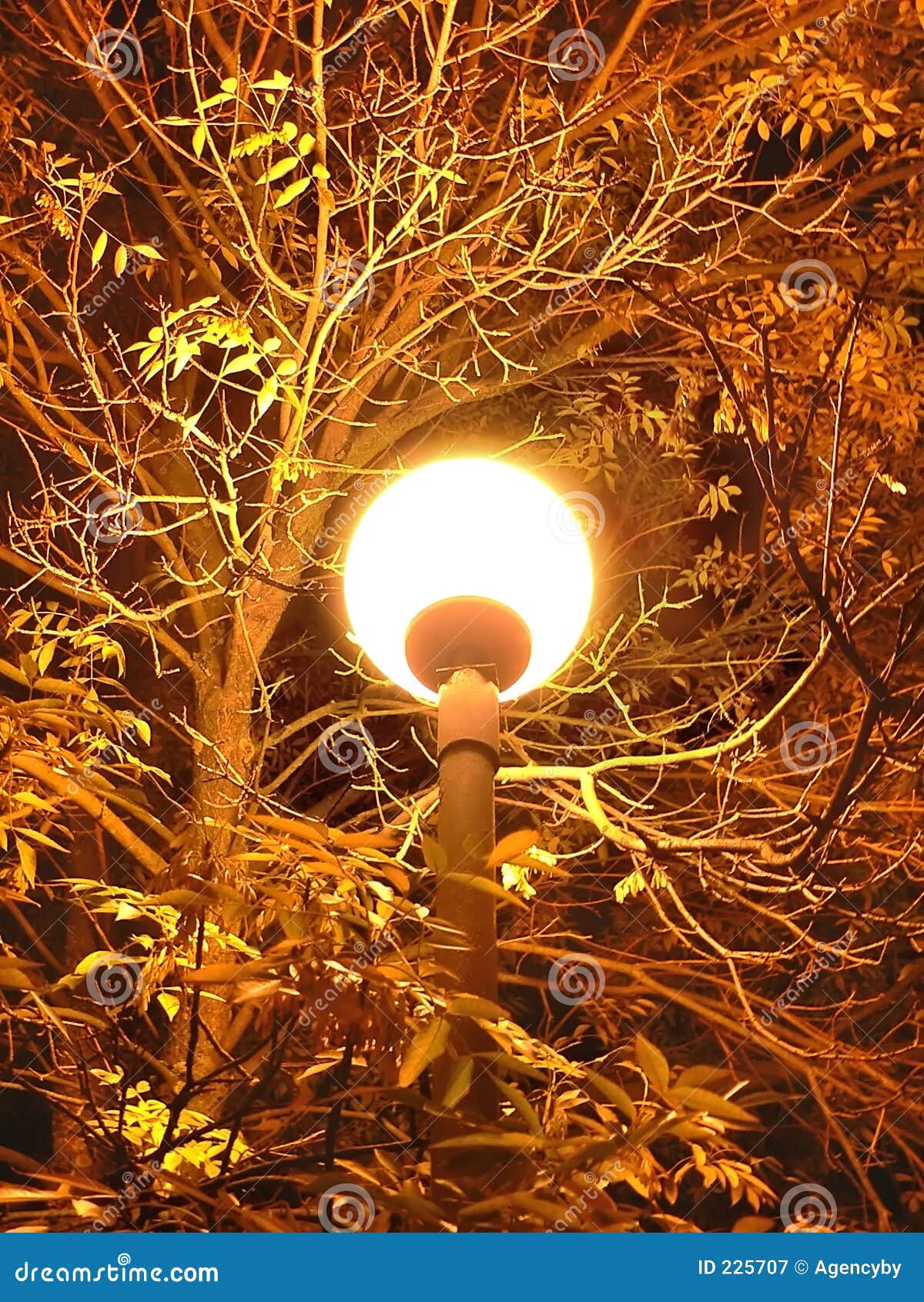 Street lamp stock image. Image of bush, fall, lamp, city - 225707