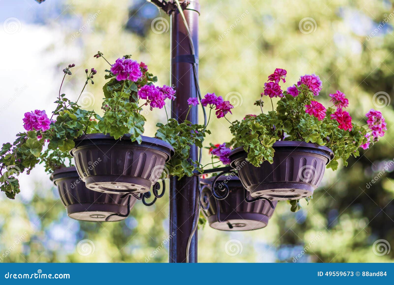 Street Lamp with Flower Basket Stock Image - Image of lamp, luxury ...