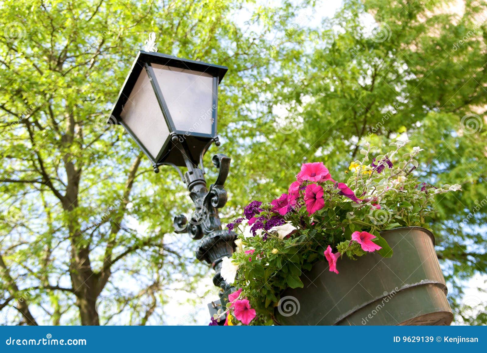 Street lamp with flowers stock image. Image of seasonal - 9629139
