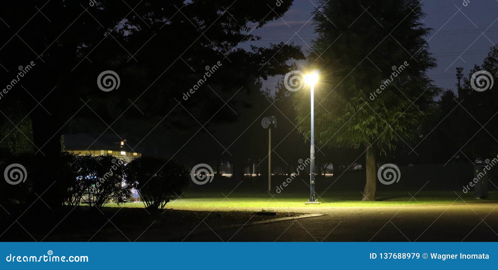 Street Lamp at Night in the Park Stock Image - Image of lantern, nature ...