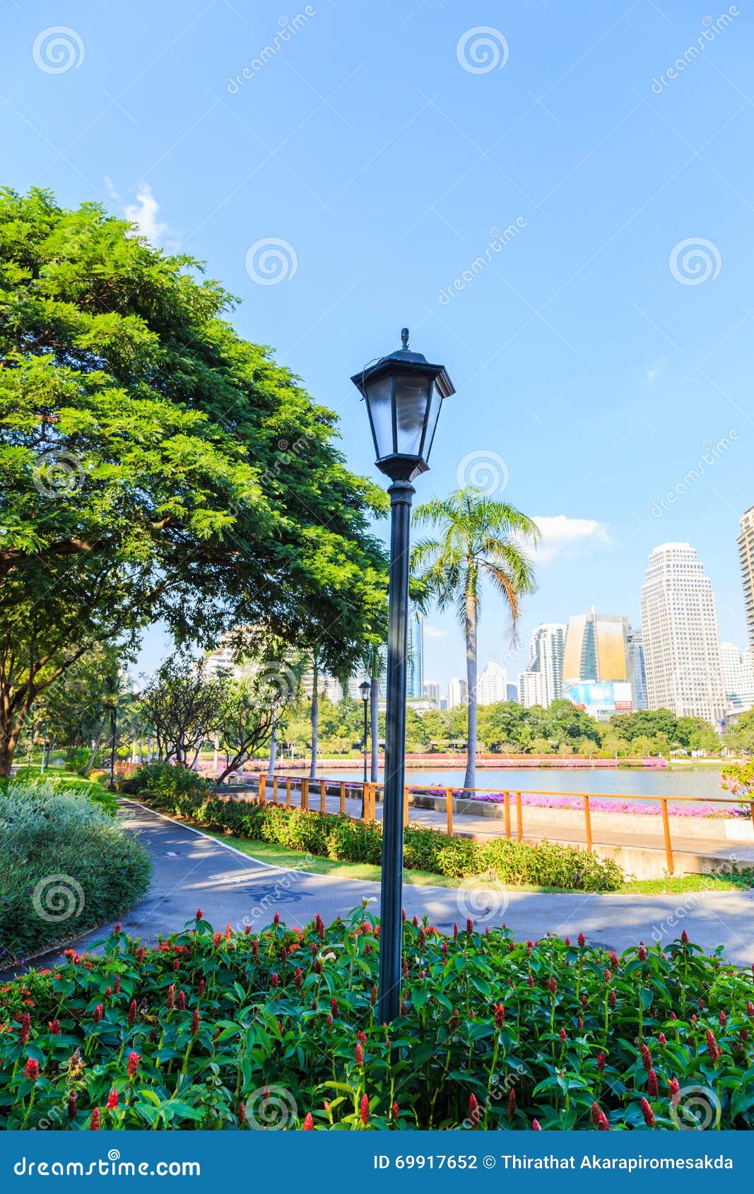 Street lamp in the park . stock photo. Image of foliage - 69917652