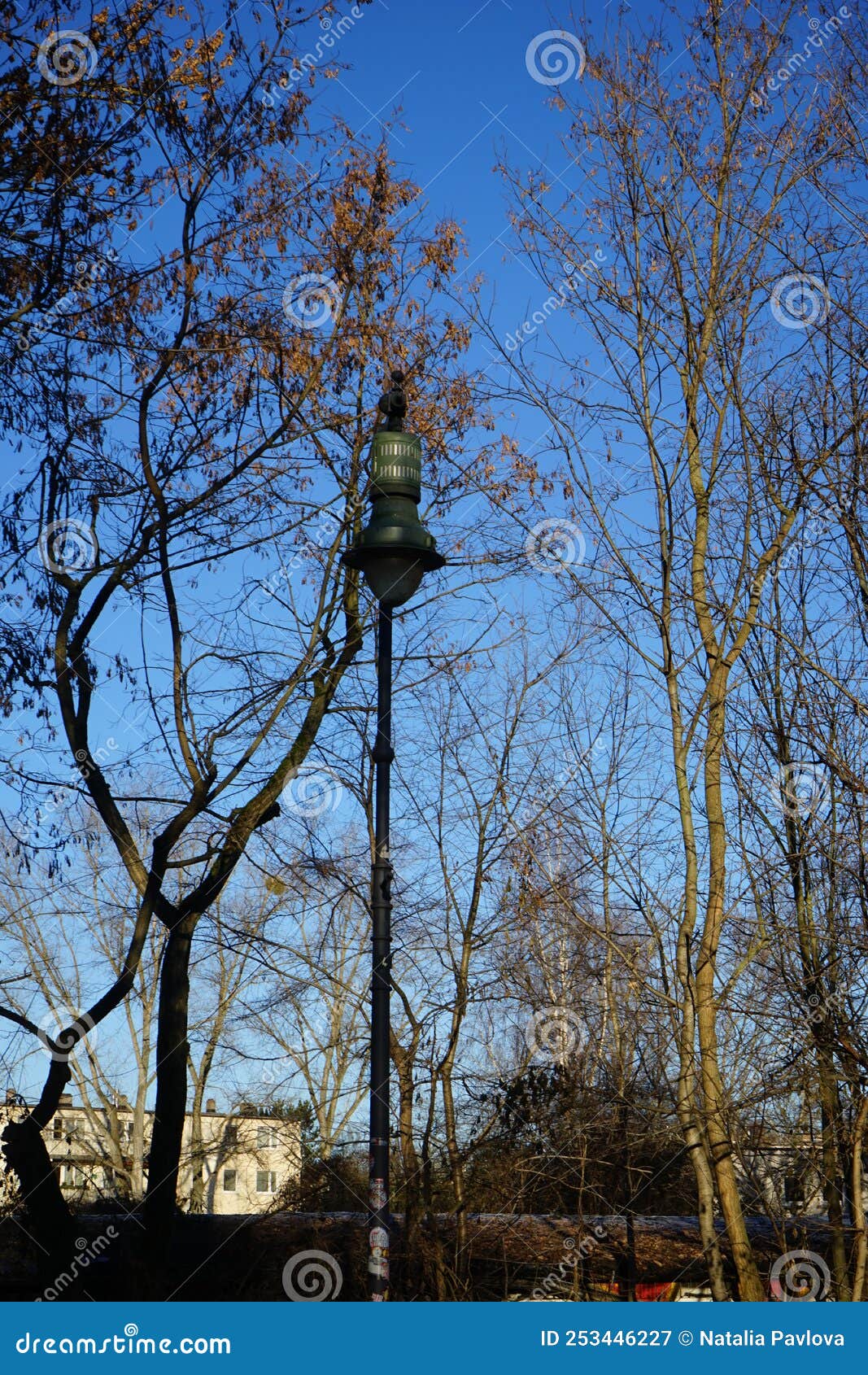 Street Lamp on the Side of the Road. Berlin, Germany Stock Image ...