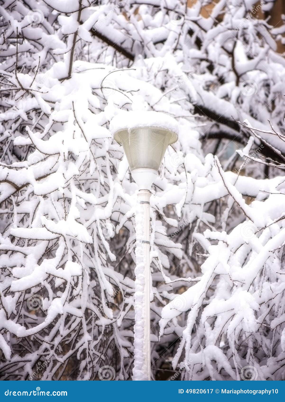 Street lamp in snow stock image. Image of snowfall, january - 49820617