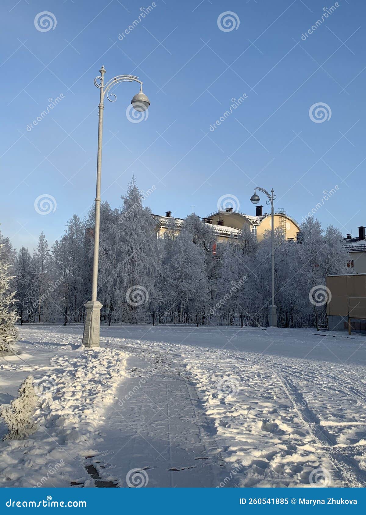 Street Lamp in the Snow. Path Strewn with Snow Stock Image - Image of ...