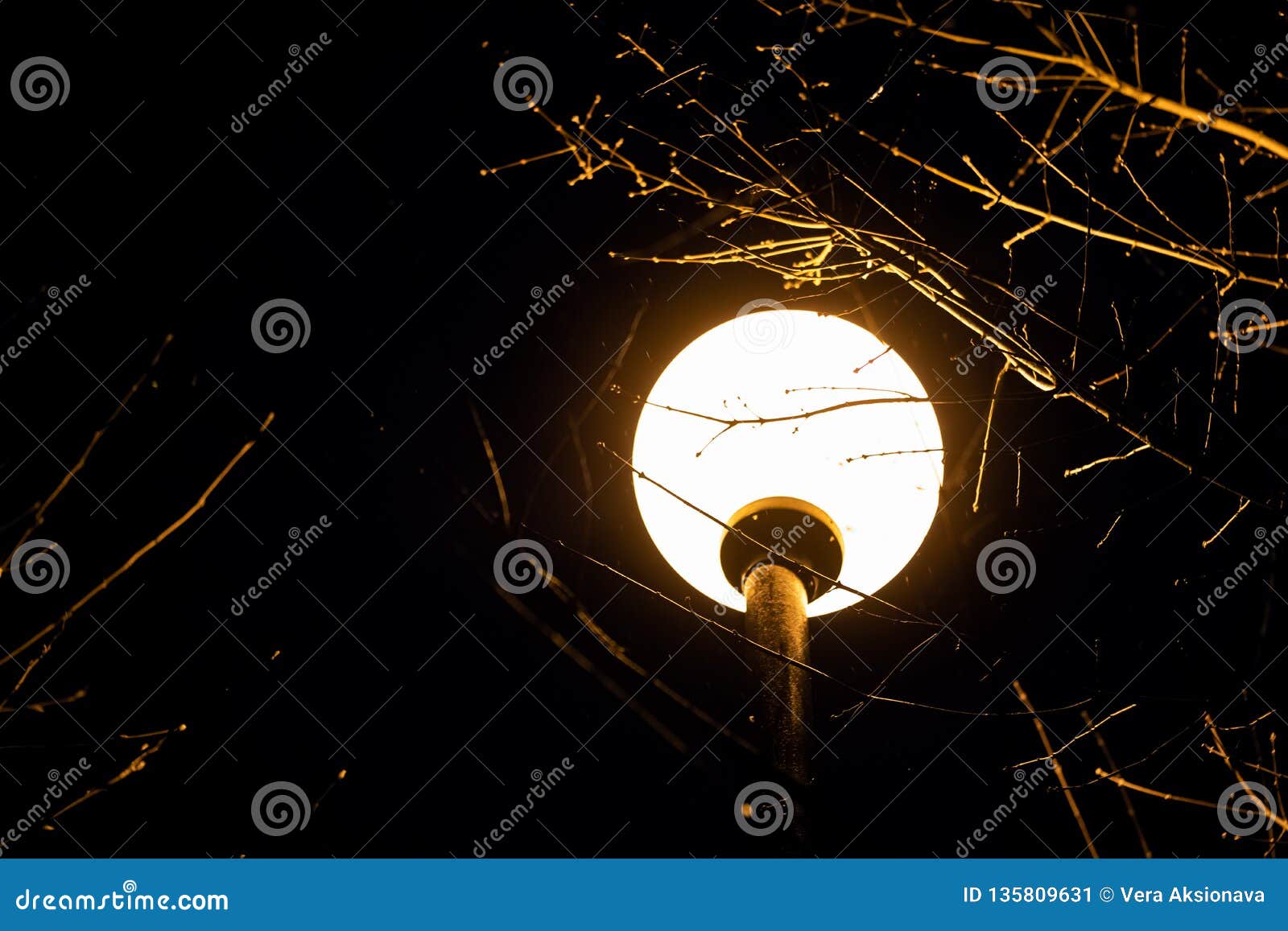 Noght Close Stock Photos - Free & Royalty-Free Stock Photos from Dreamstime