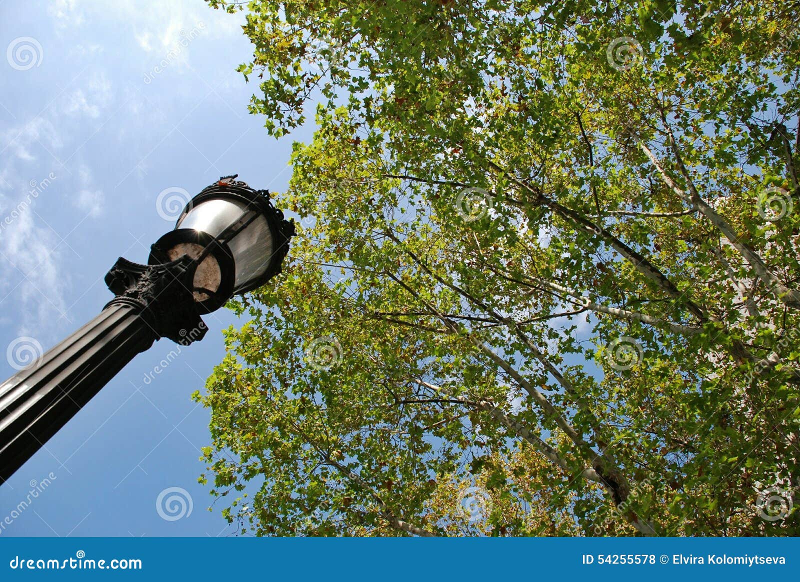 Street lamp and tree stock photo. Image of game, scenery - 54255578