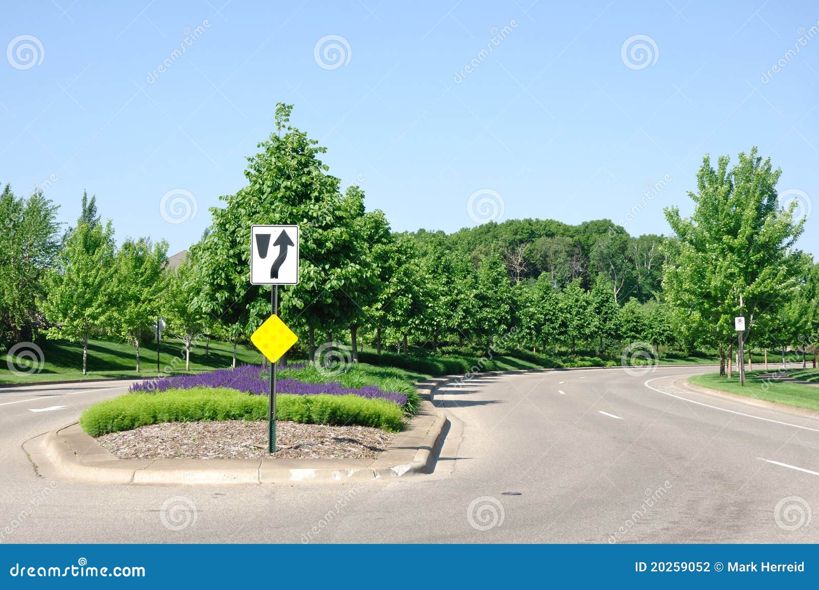 Street with Landscaped Median Stock Photo - Image of suburban, suburbs ...