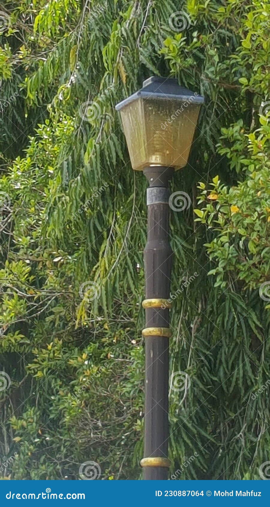 Street Light in the Daylight Stock Photo - Image of street, daylight ...