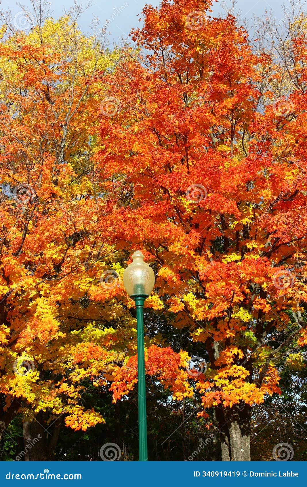 The Street Light in Fall with Great Foliage Stock Image - Image of ...