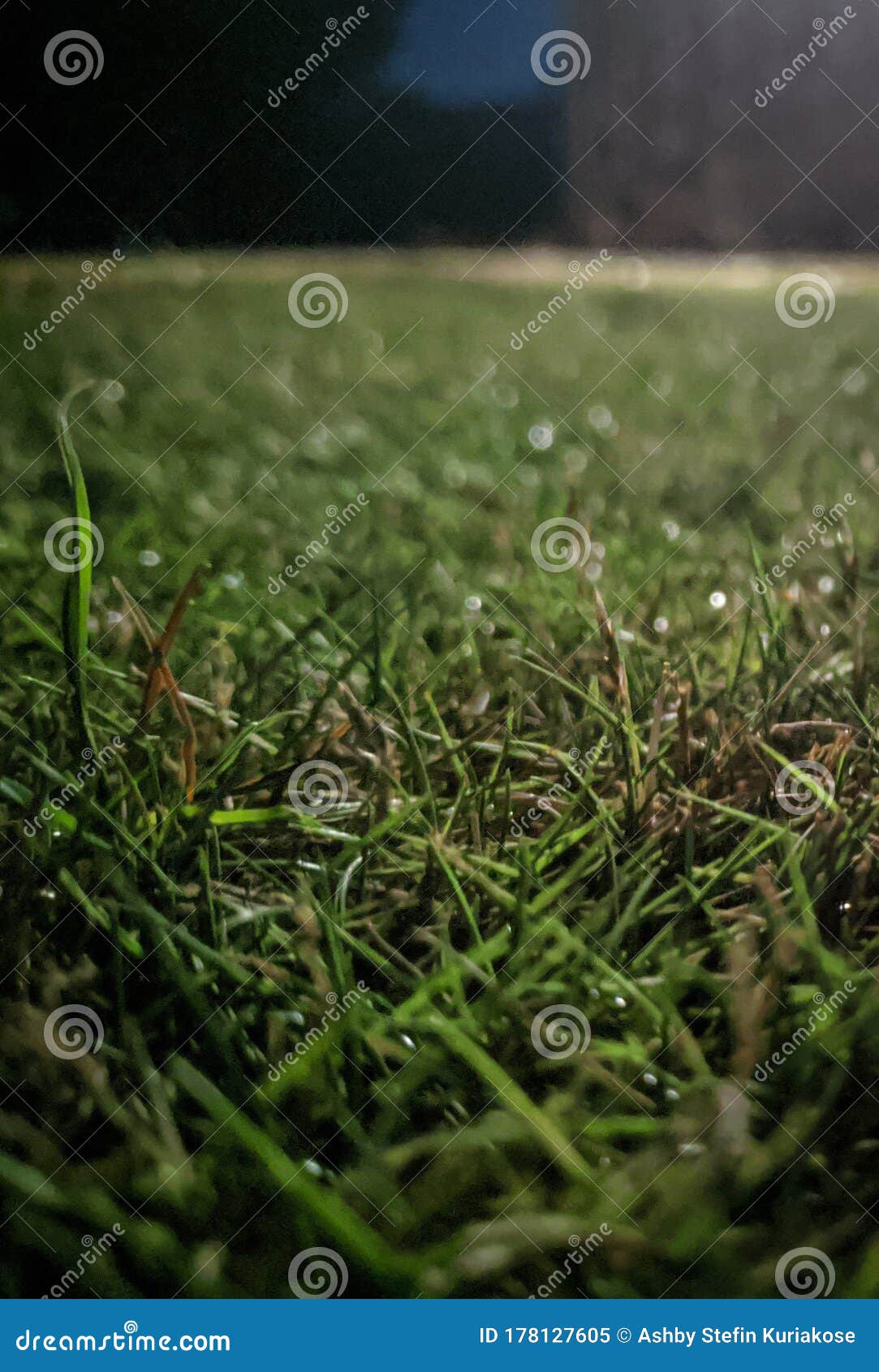 Street Light Grass stock image. Image of water, meadow - 178127605