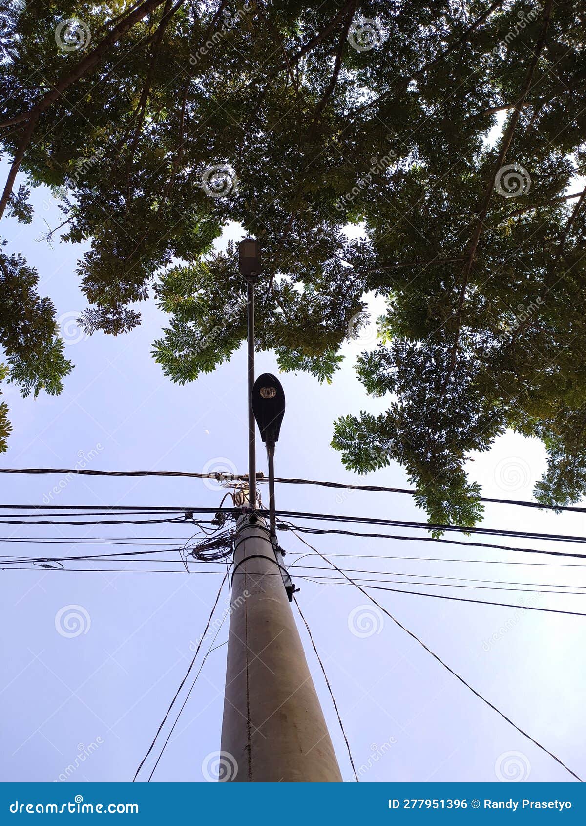 Street Light with Moon and Leaf Tree Stock Photo - Image of light ...