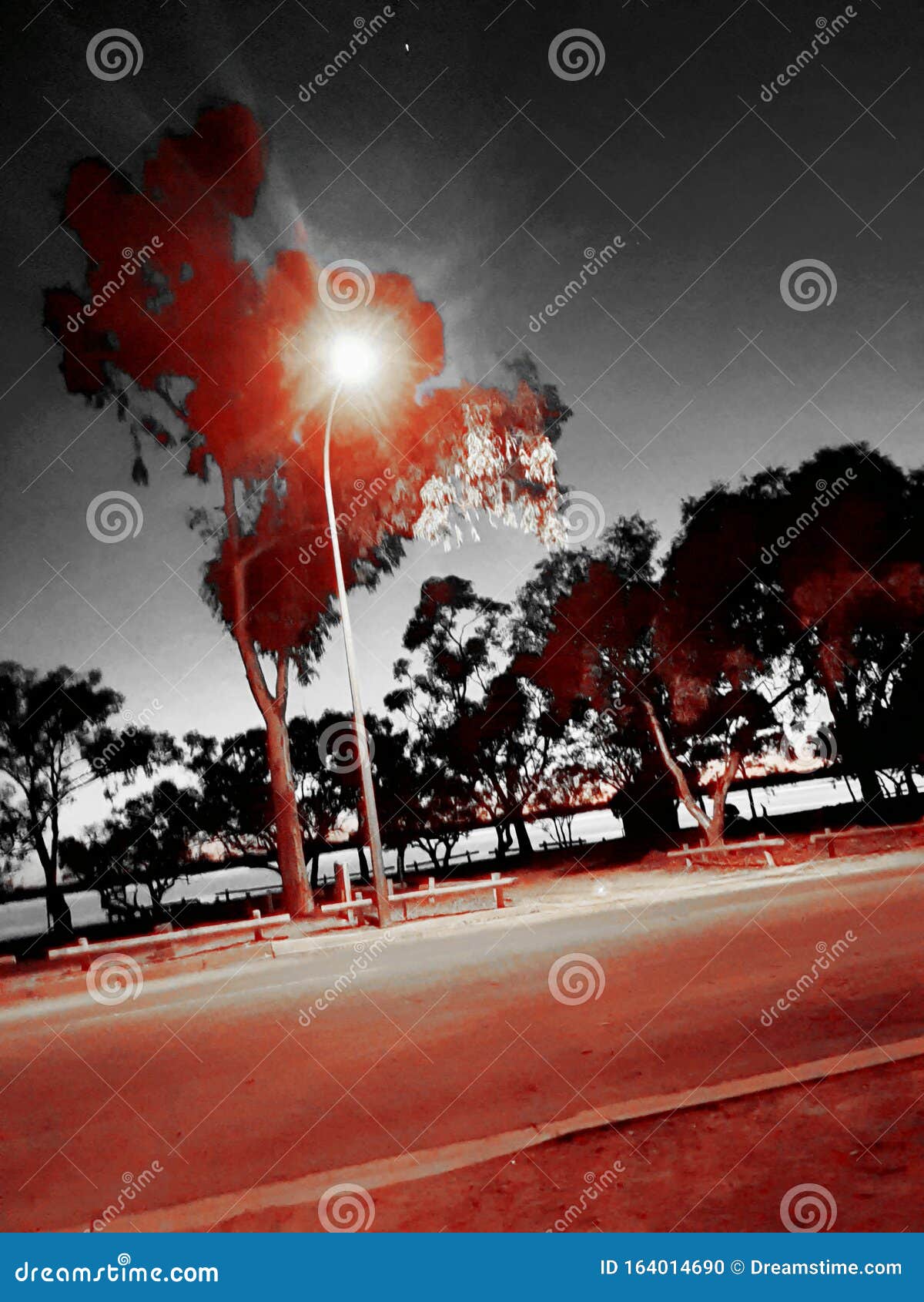 Street Light in the Night Glowing Stock Photo - Image of light, glowing ...