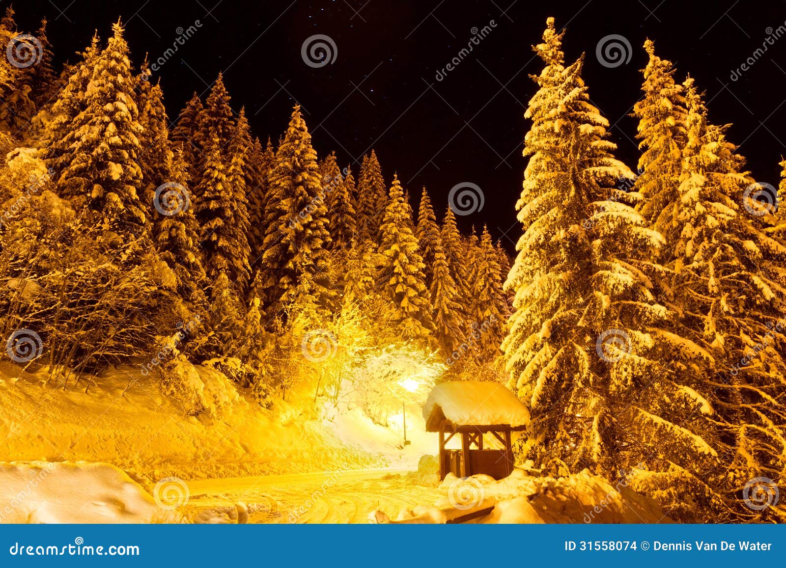 Street light snow stock photo. Image of evening, cold - 31558074