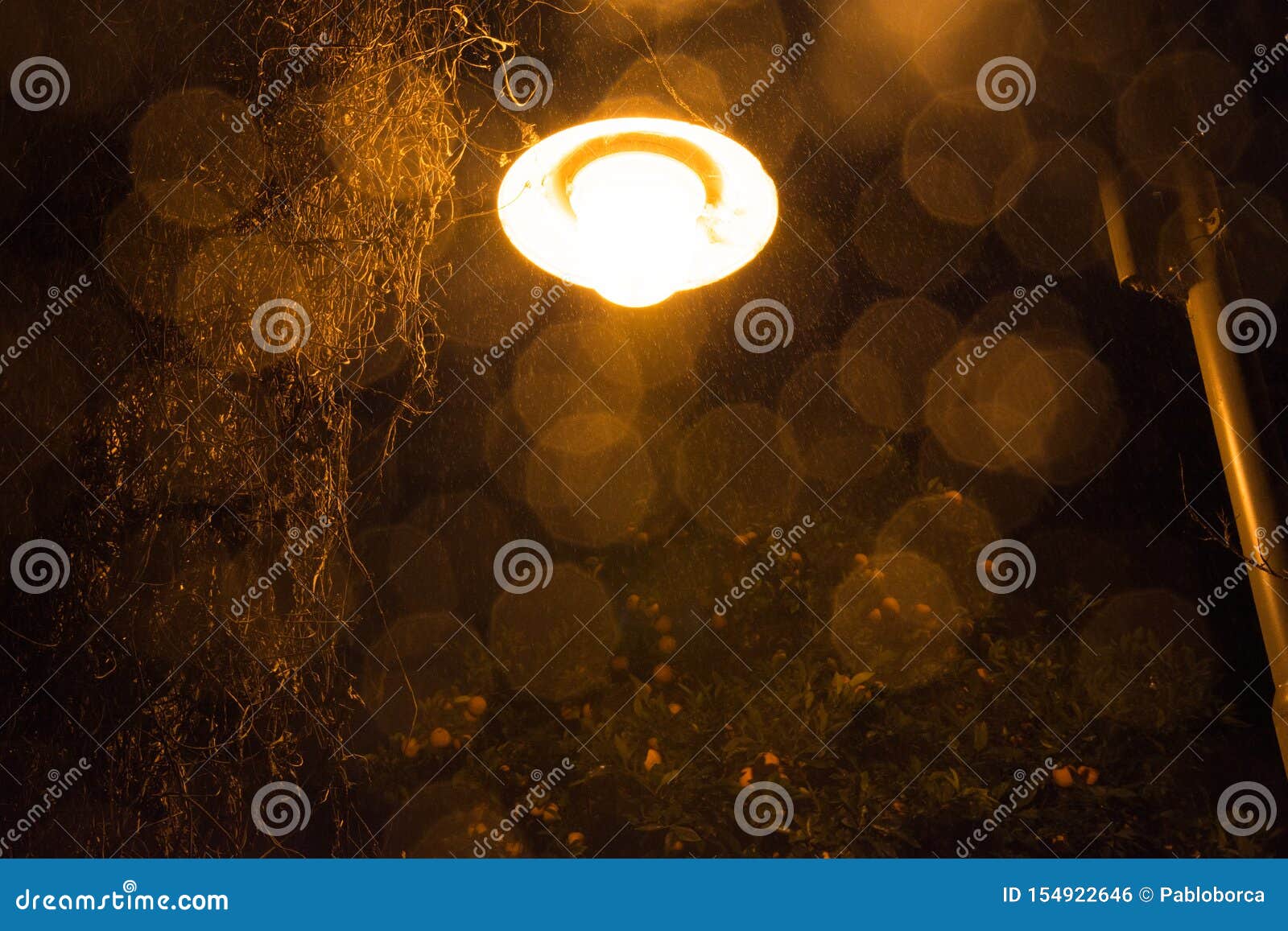 Street Light Under Light Drizzle Stock Photo - Image of rain, street ...