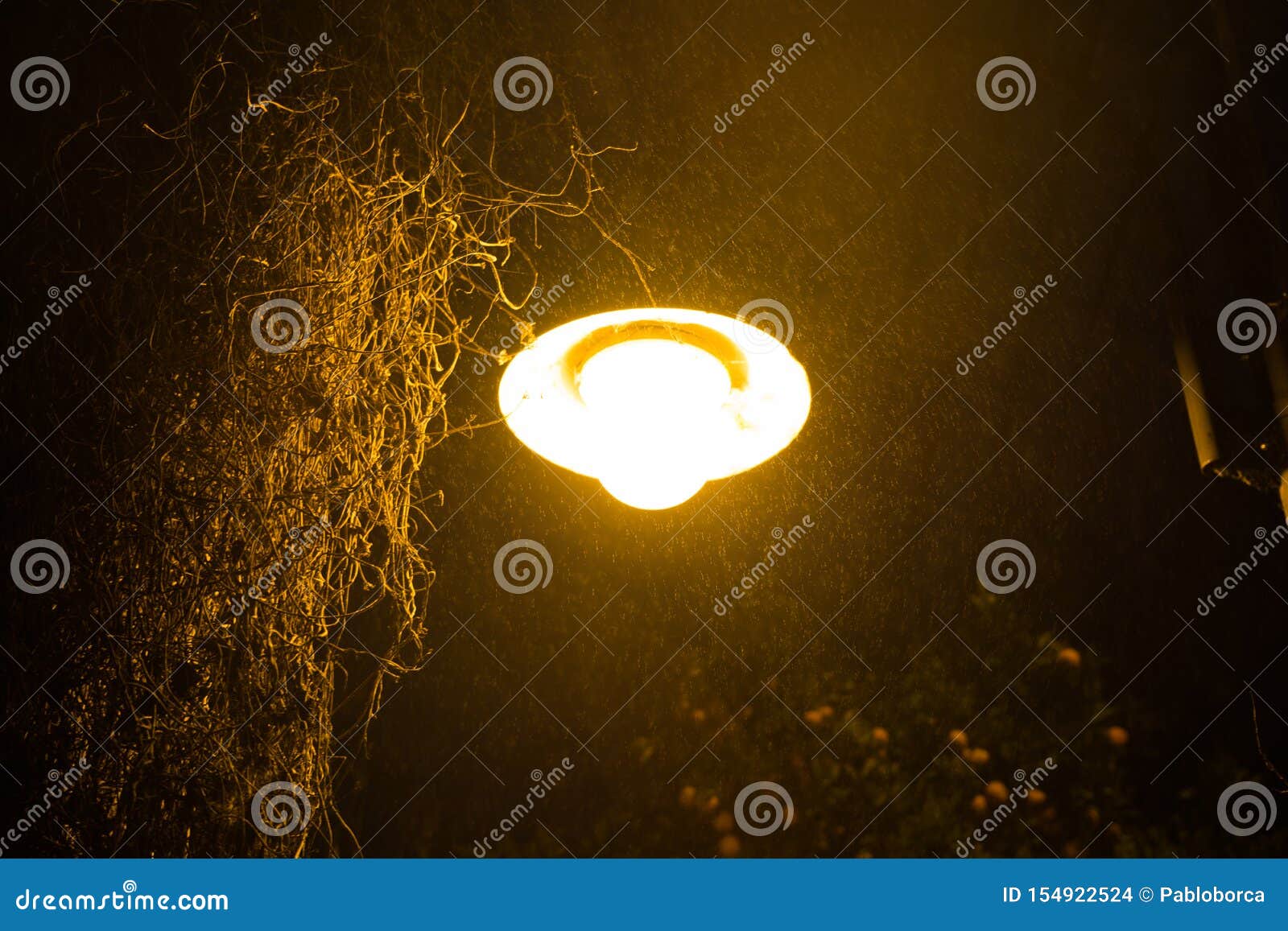 Street Light Under Light Drizzle Stock Photo - Image of illuminated ...