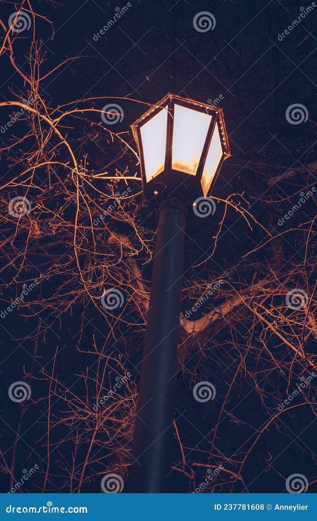Street Light View at Night Time Stock Photo - Image of december, park ...