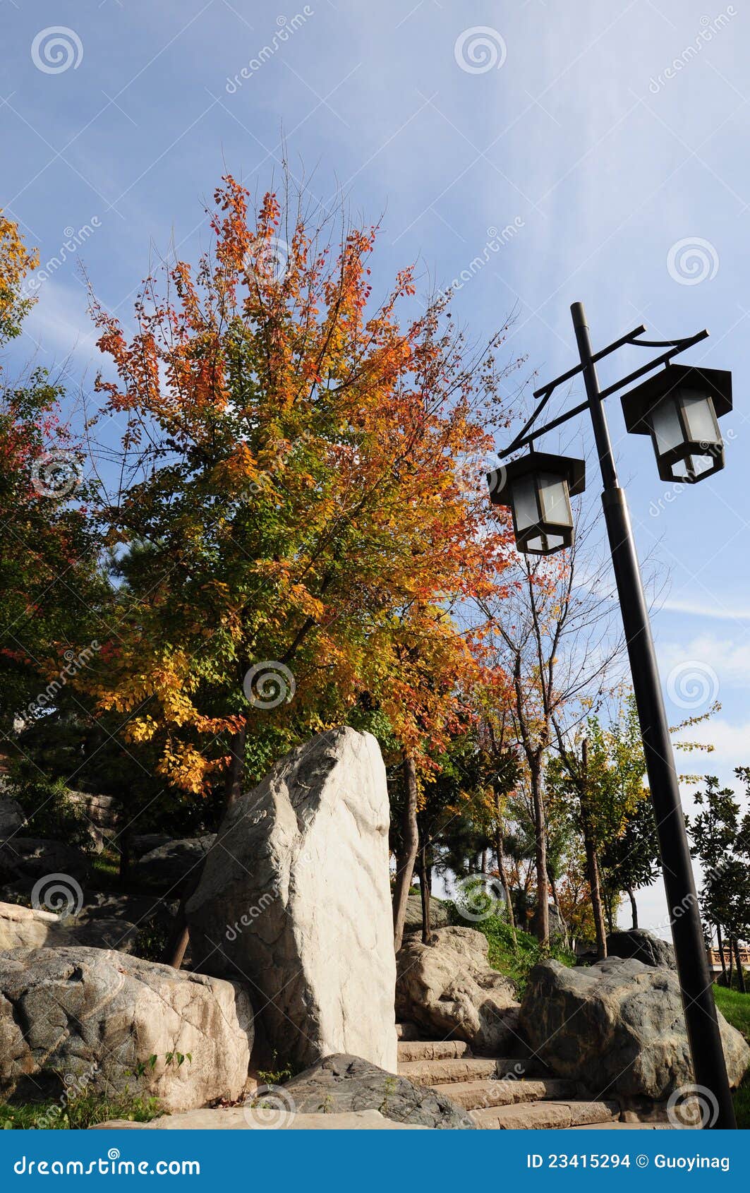 Street Light and Yellow Tree Stock Photo - Image of tree, blue: 23415294
